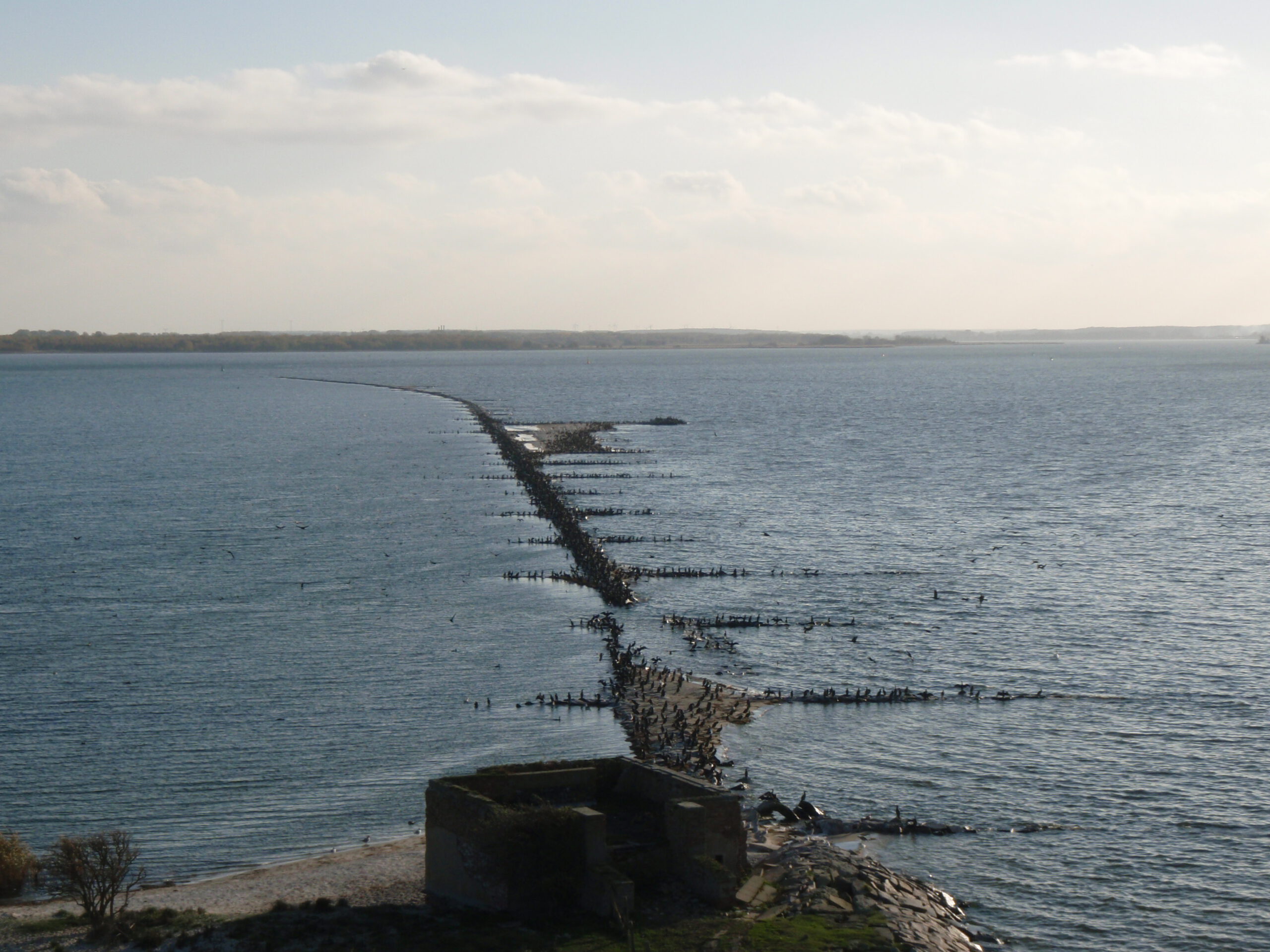 Insel Ruden – Feindliche Übernahme – Breuer Sunsetyears
